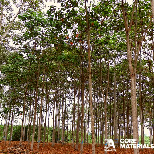 Una noble madera que impacta en la energía verde | Forest Stewardship ...